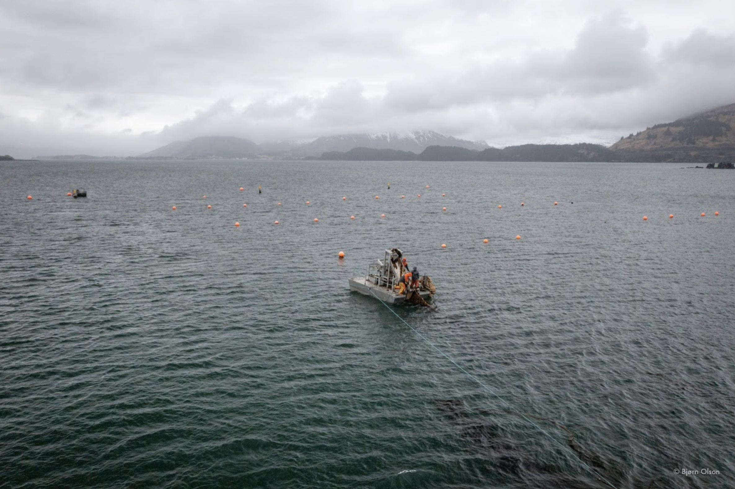 GreenWave - Regenerative Ocean Farming Hub